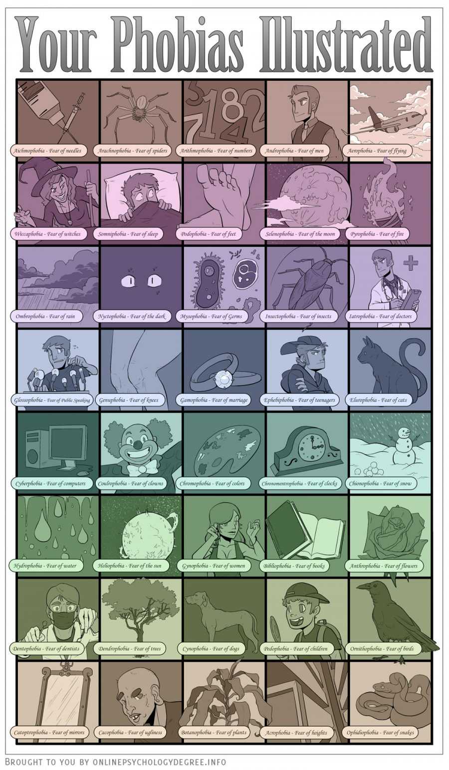 Interesting Facts About Phobias (24 Infographics)