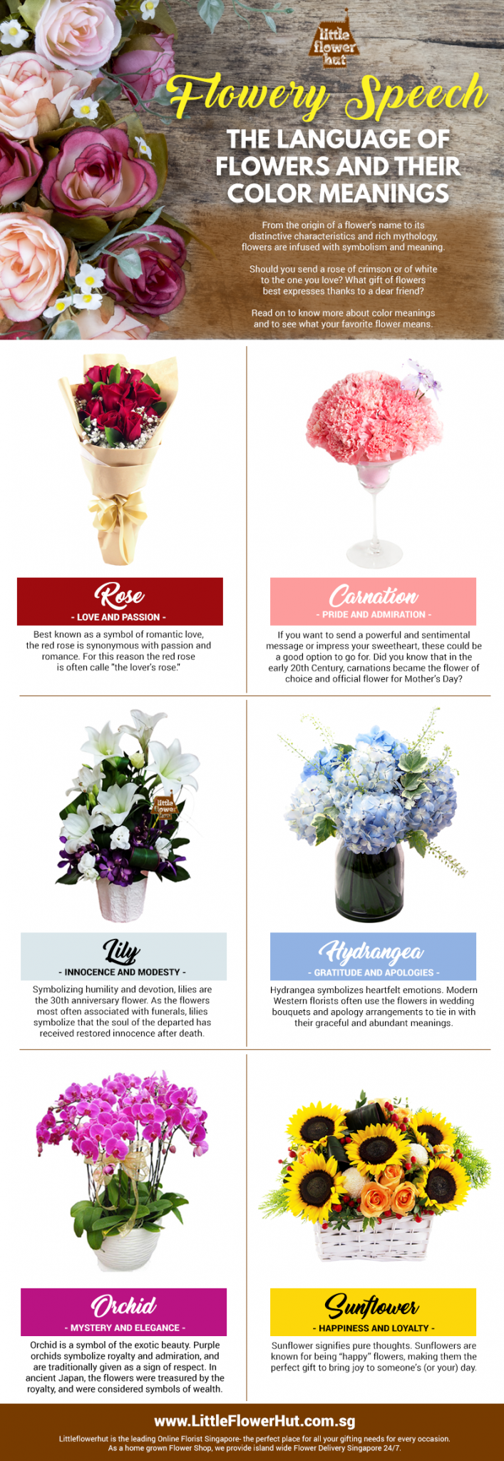Things You Need to Know About Flowers (17 Infographics)